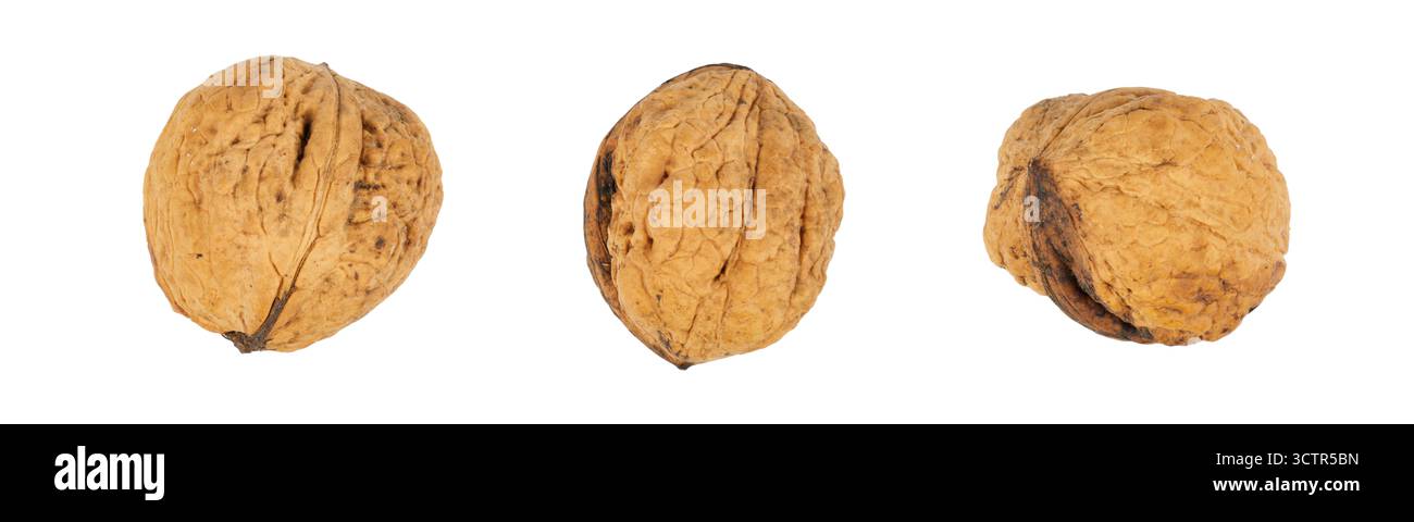 Organic nut decor Cut Out Stock Images & Pictures - Alamy