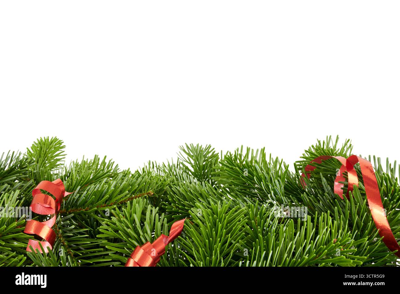 christmas fir tree branched bottom border frame isolated on white Stock ...