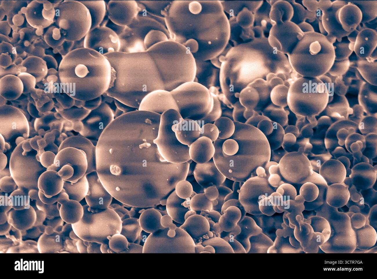 SEM image of silica microspheres at 2500x magnification, showing smooth ...
