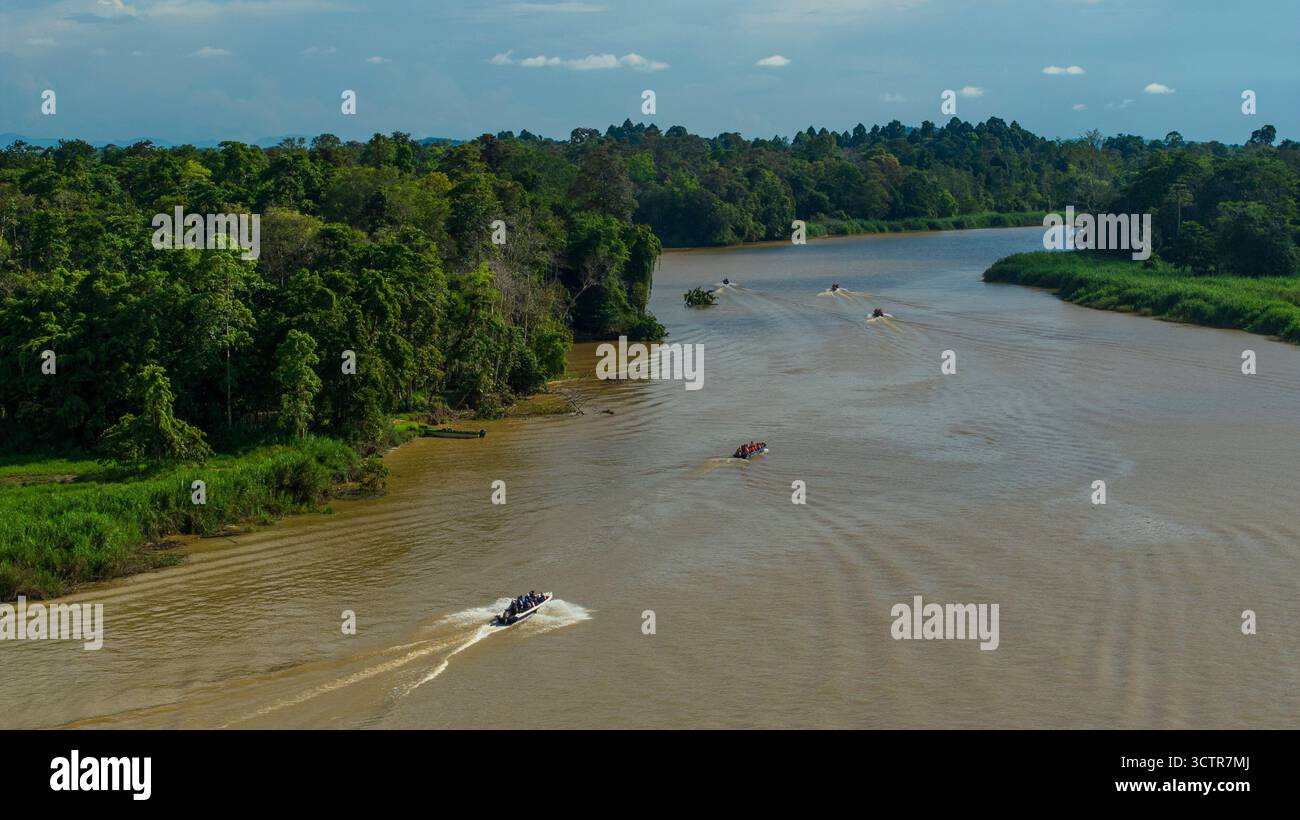 Horizontal drone/aerial photo of tourist speedboats on the Kinabatangan ...