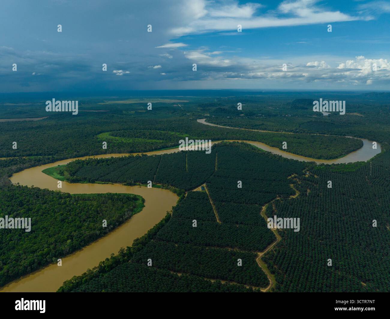 Horizontal drone photo of the Kinabatangan River, Sabah, Borneo ...