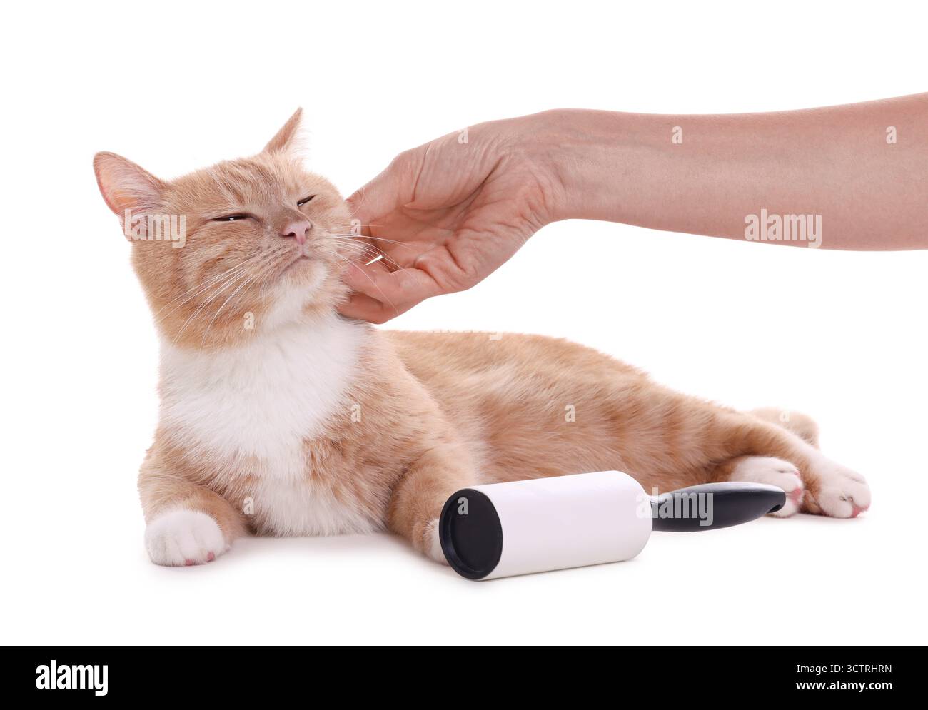 Cat stroking female Cut Out Stock Images & Pictures - Alamy