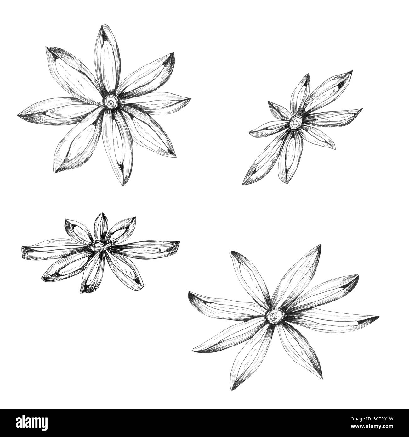 Hand closeup cooking Black and White Stock Photos & Images - Alamy