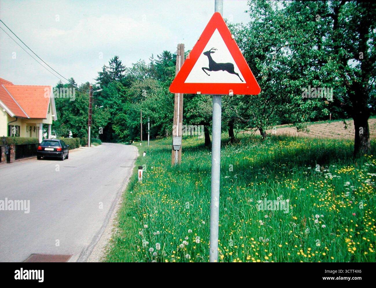 Attention animal crossing traffic or road sign, red triangle as warning ...