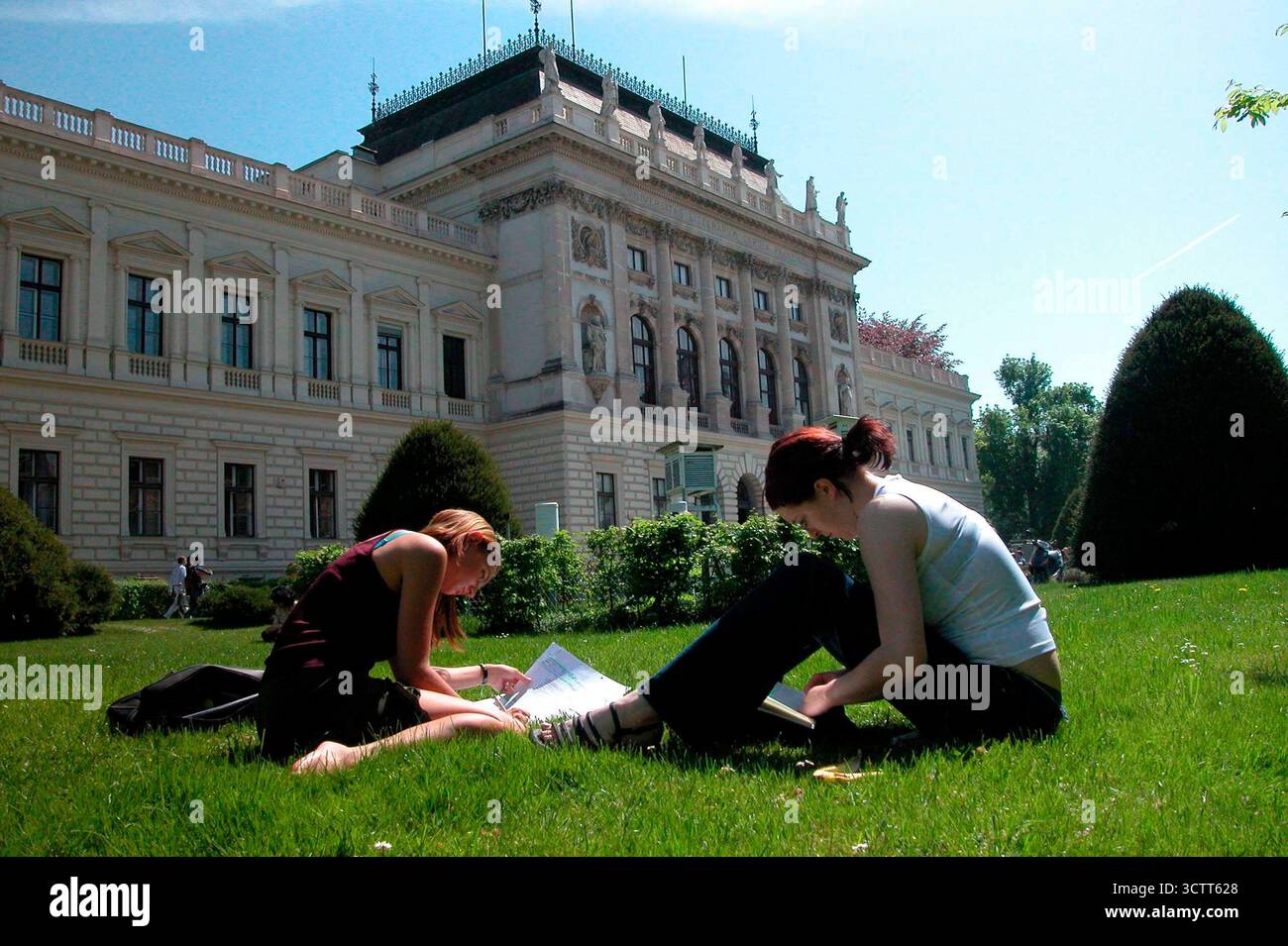 learning and studywith books and scripts, education and knowledge ...