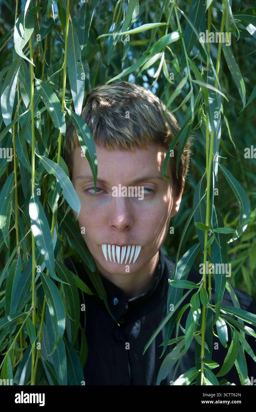 a human set of teeth or dentition at the dentist set of teeth or ...