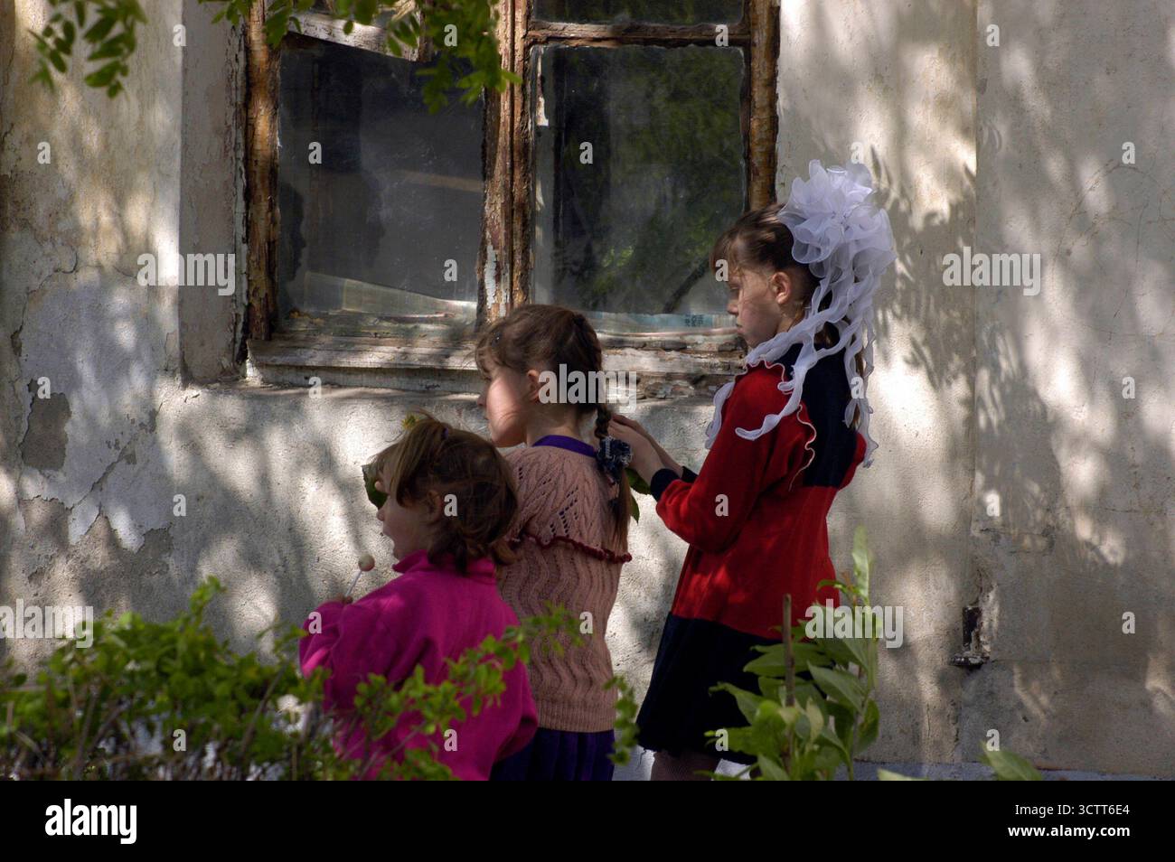 siblings growing up together in childhood as part of family siblings ...