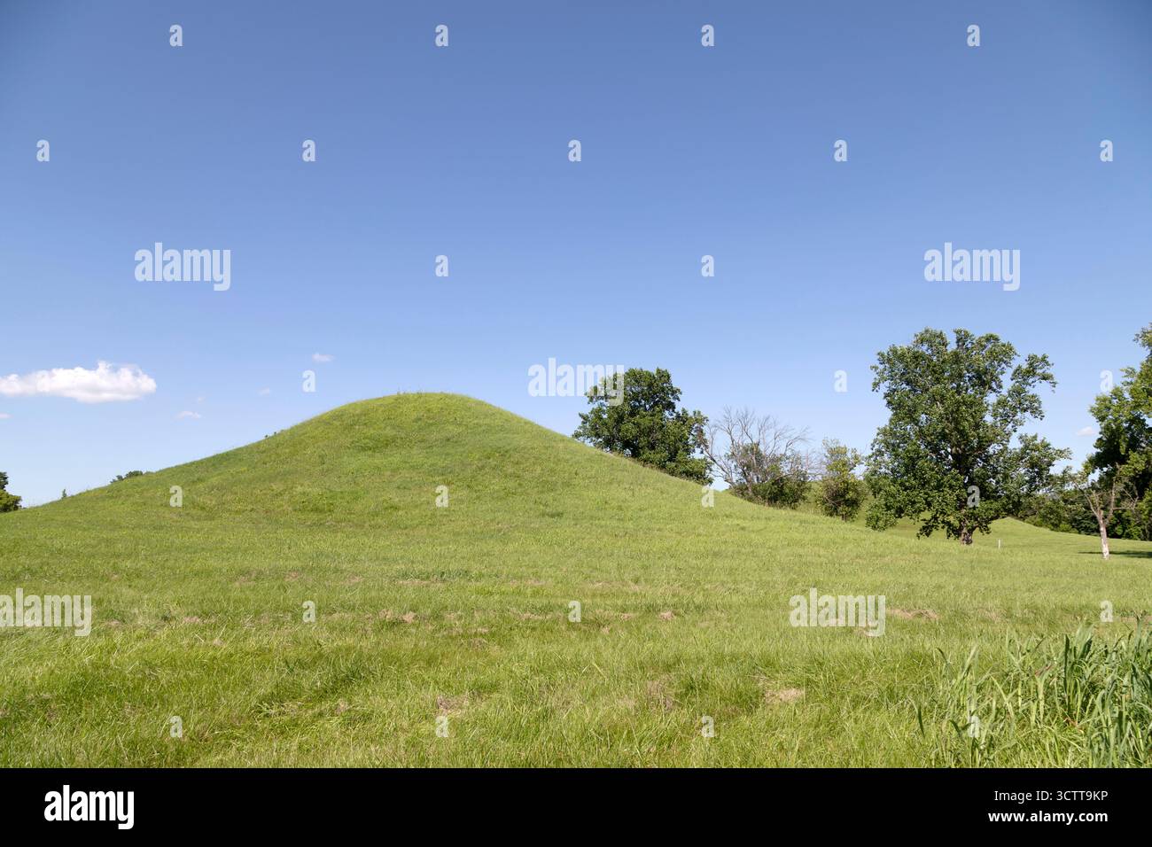 One of the mounds at Cahokia Mounds State Historic Site in Collinsville ...