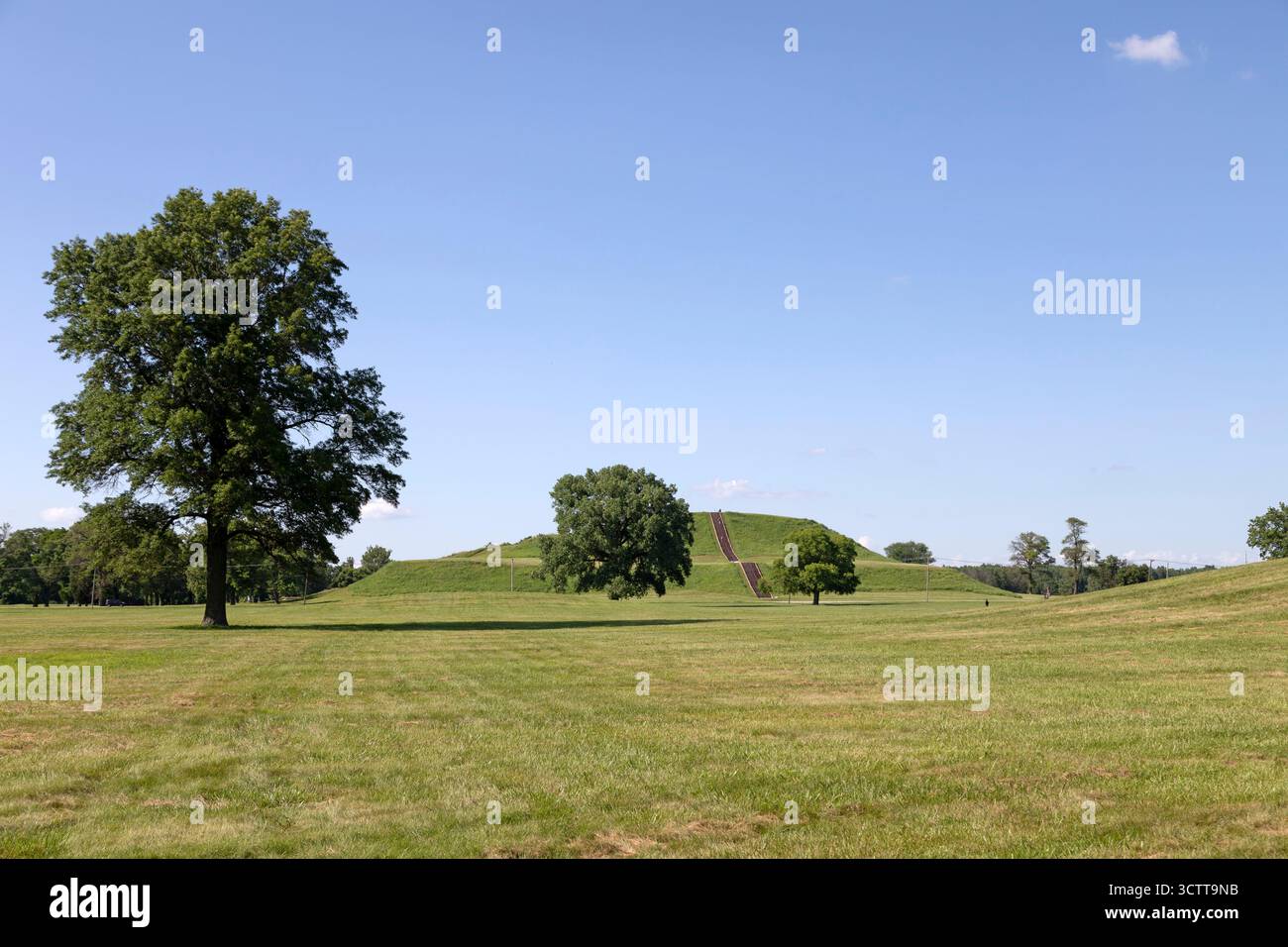 Monks Mound, the largest of the mounds at Cahokia Mounds State Historic ...