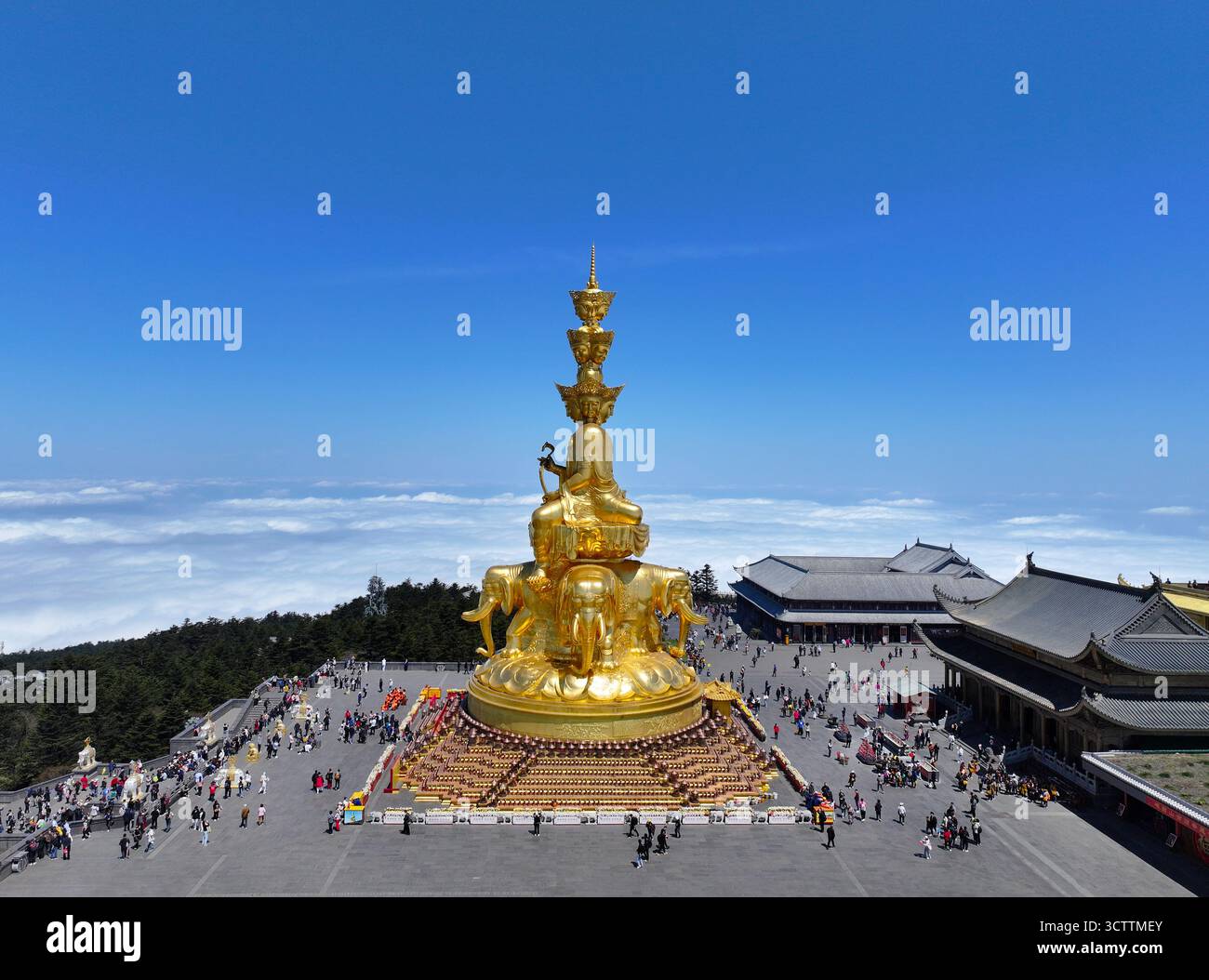 Aerial Photography of the Golden Summit and Golden Buddha of Mount Emei ...