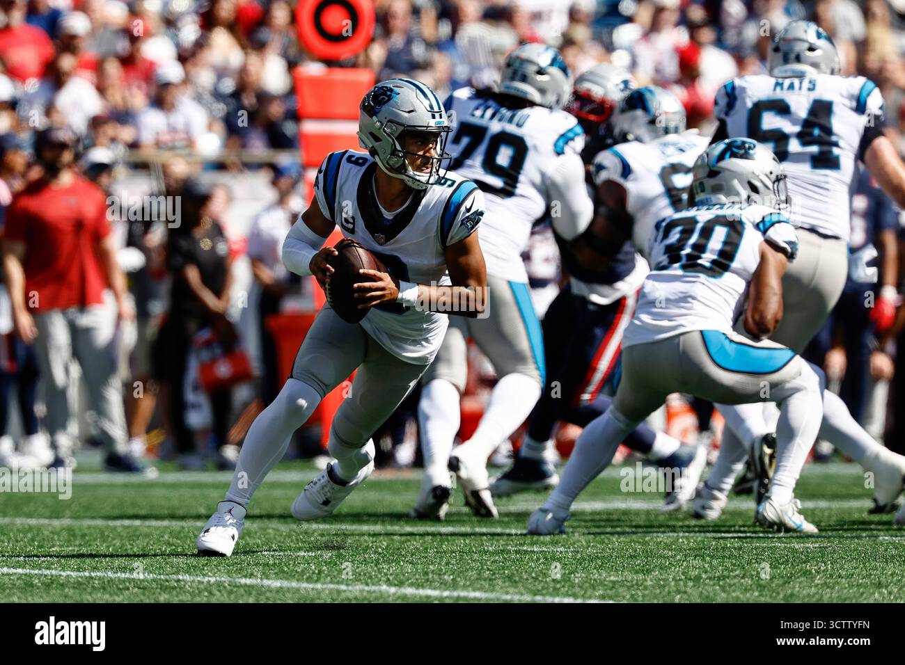 Carolina Panthers quarterback Bryce Young rolls out against the New ...