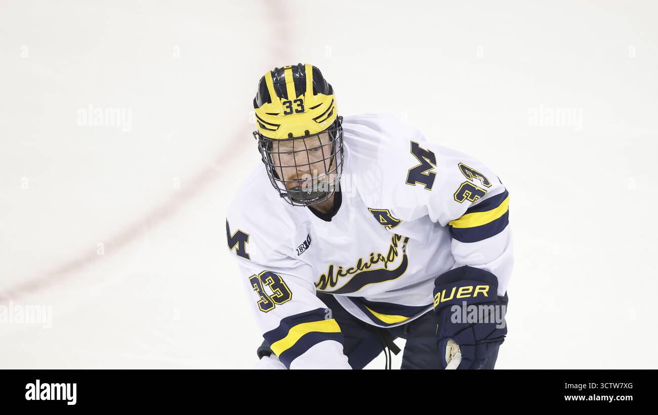 Michigan's Kienan Draper plays during an NCAA hockey game on Saturday ...