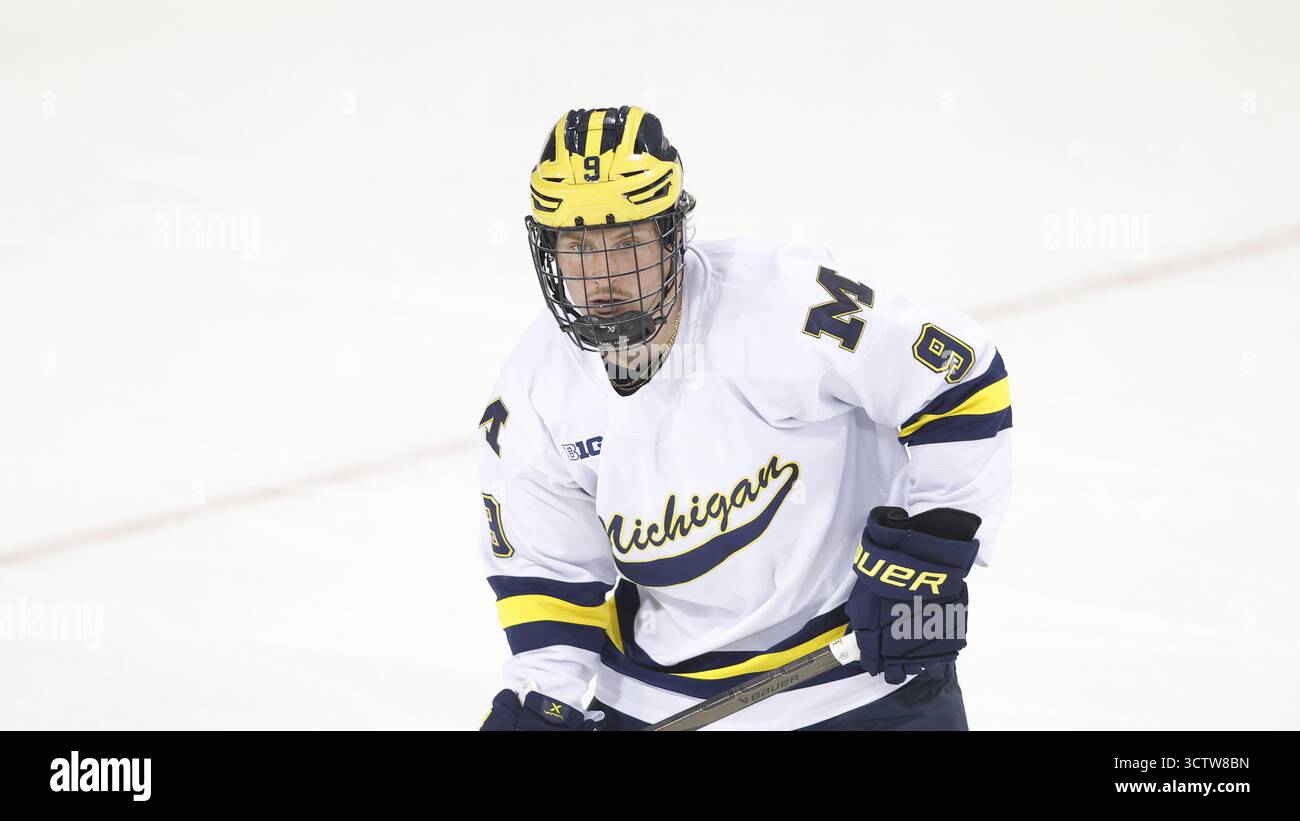 Michigan's Nick Moldenhauer plays during an NCAA hockey game on ...