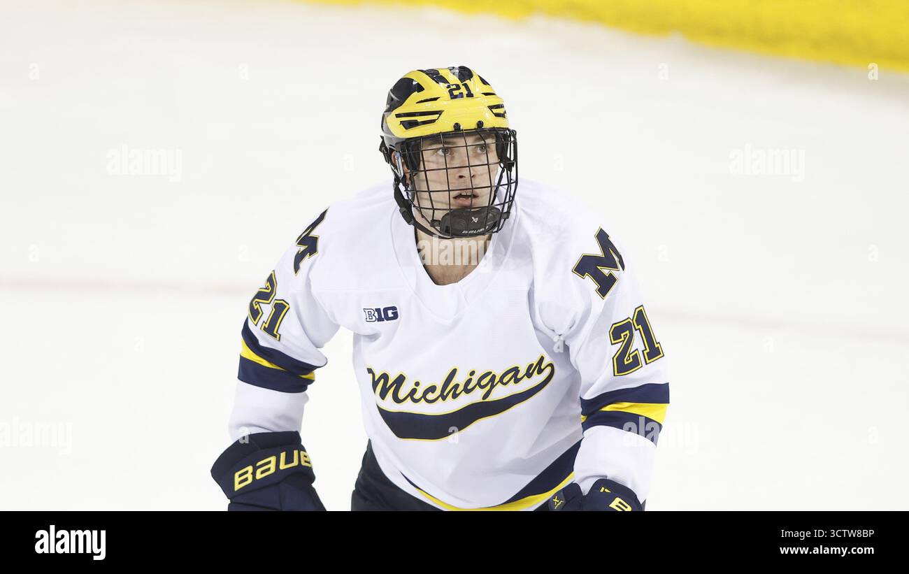 Michigan's Ben Robertson plays during an NCAA hockey game on Saturday ...