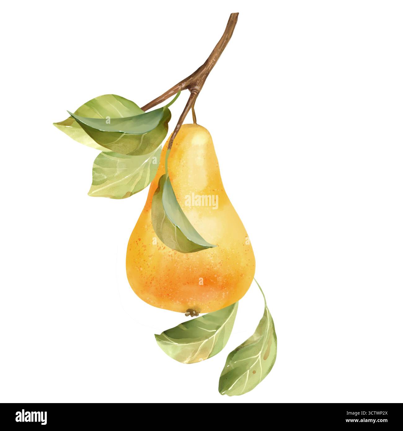 Printable recipe hi-res stock photography and images - Alamy