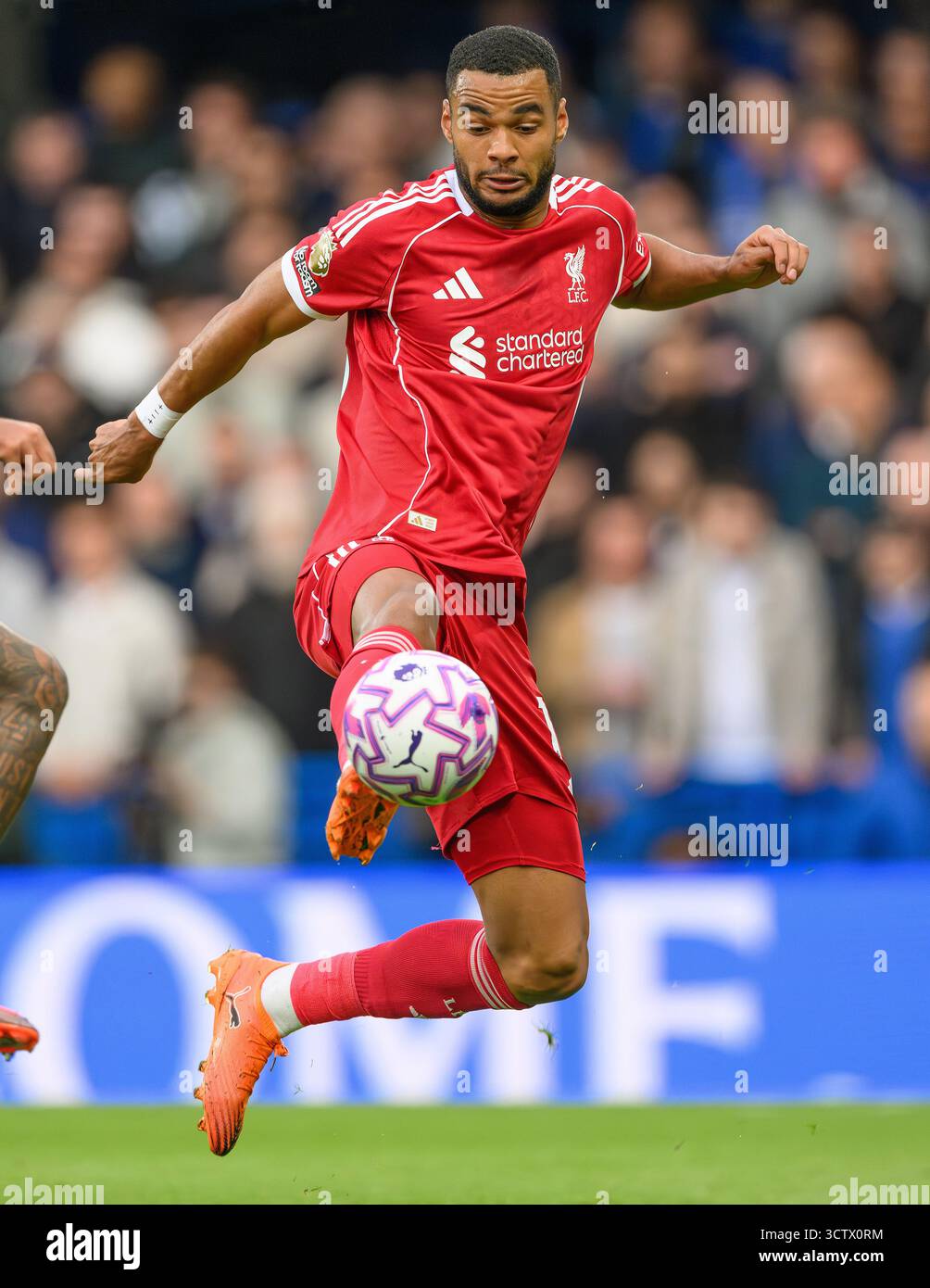 Gakpo liverpool 2025 hi-res stock photography and images - Alamy