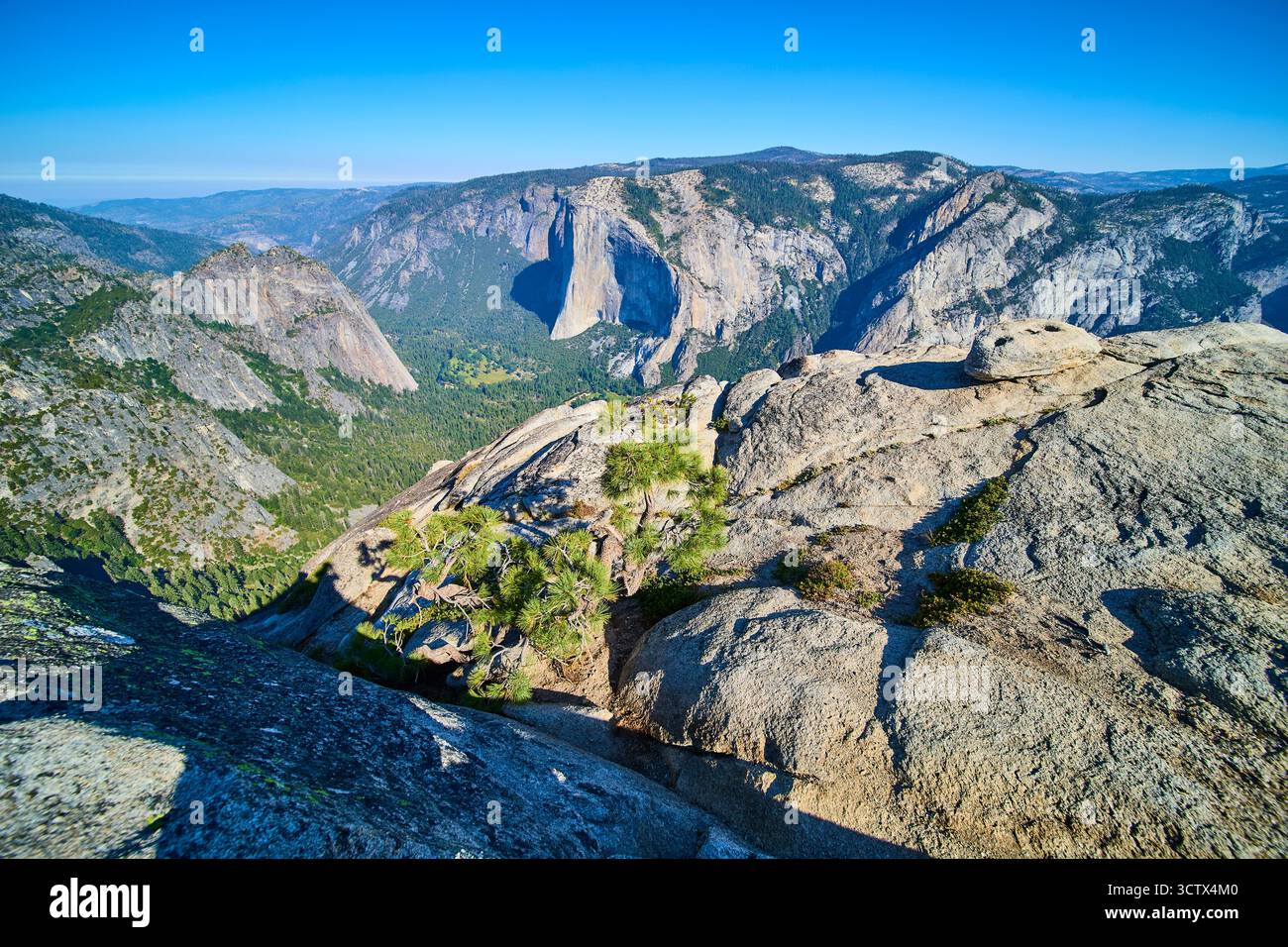 Yosemite Granite Cliffs Forest Valley and El Capitan from Taft Point ...