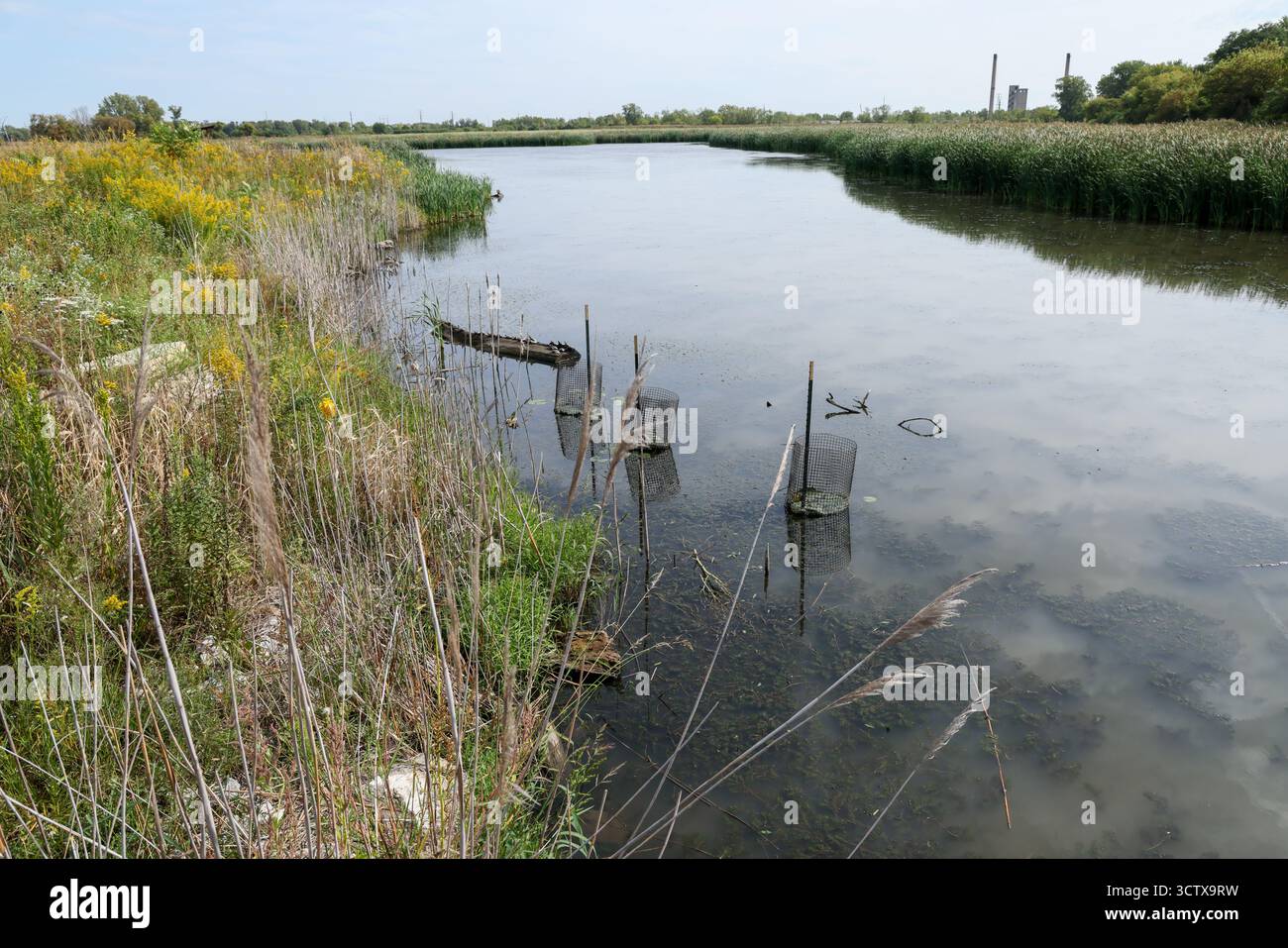 Big Marsh Park on Stony Island in Calumet Region of Chicago Stock Photo ...