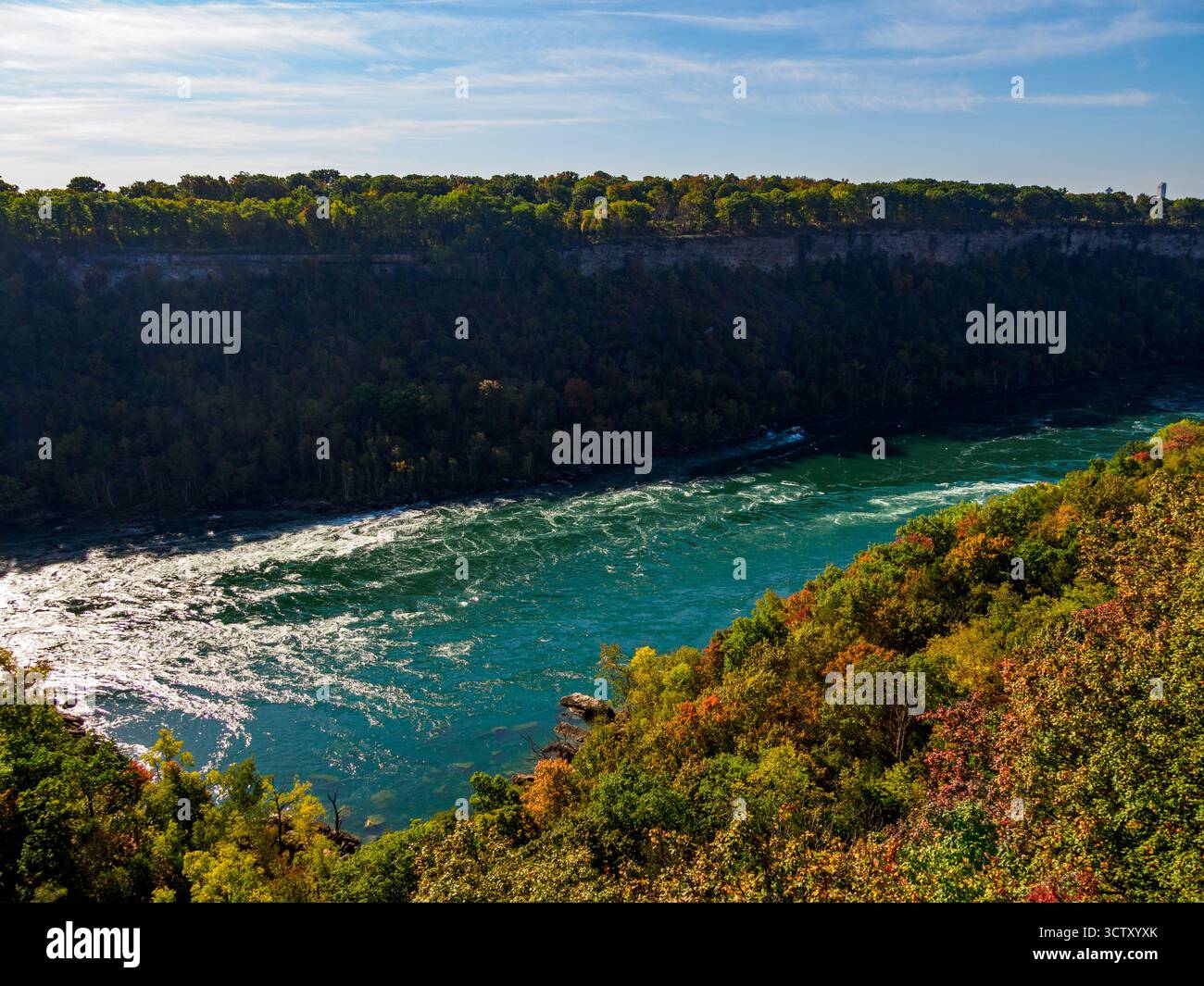 Explore Niagara Glen Nature Reserve by day — a breathtaking forest near ...