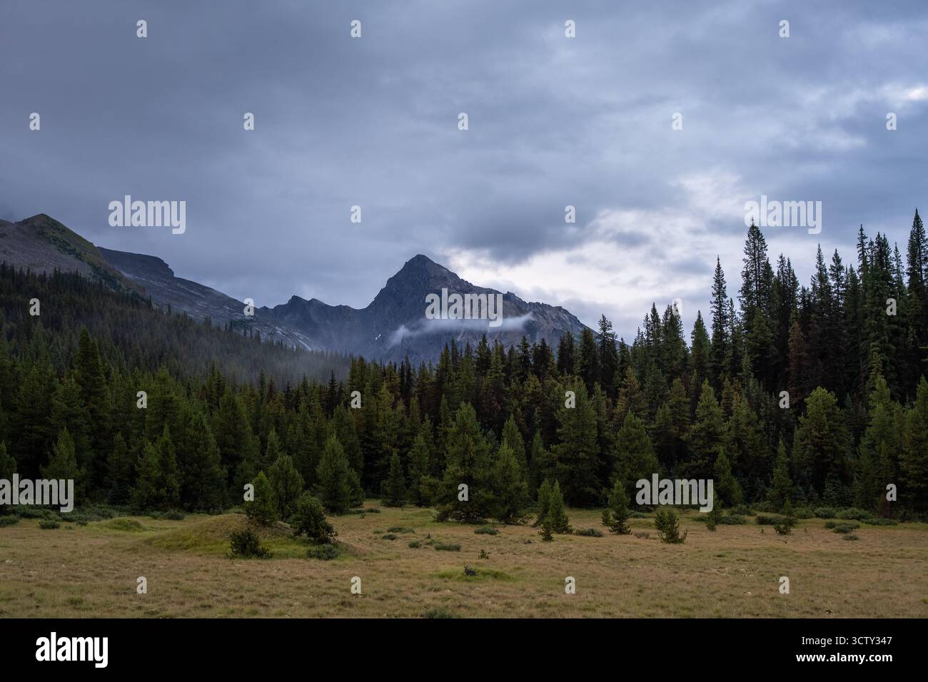 Greay mountains hi-res stock photography and images - Alamy