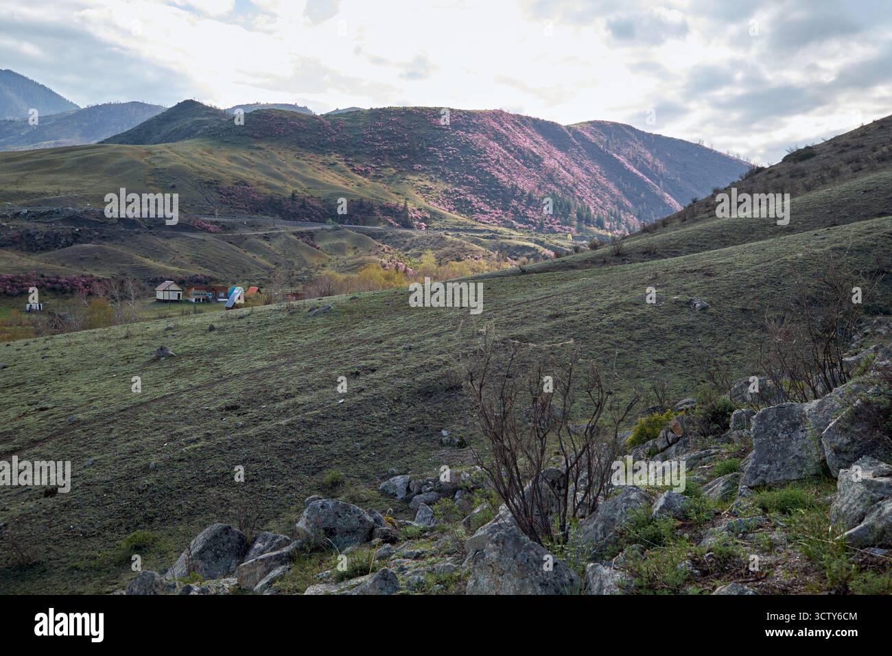 Vegetation on slopes in hi-res stock photography and images - Alamy