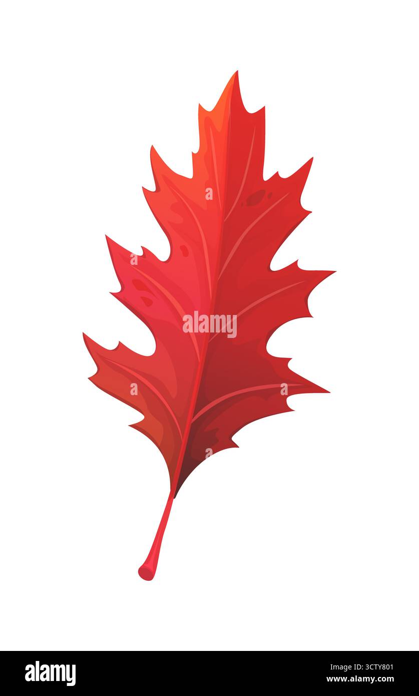 Coral tree leaves Stock Vector Images - Alamy
