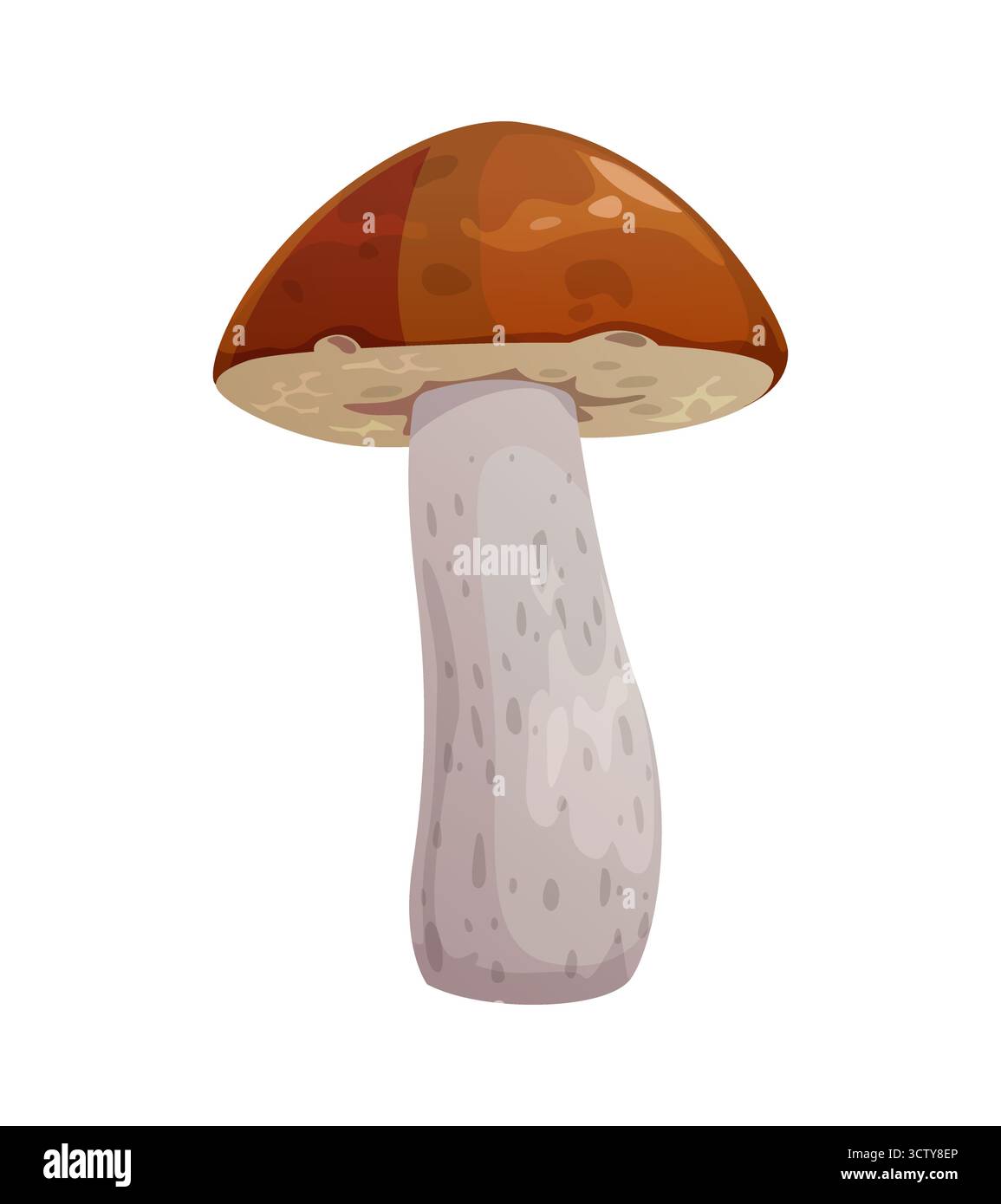 Mushroom wild fungi porcini Stock Vector Images - Alamy