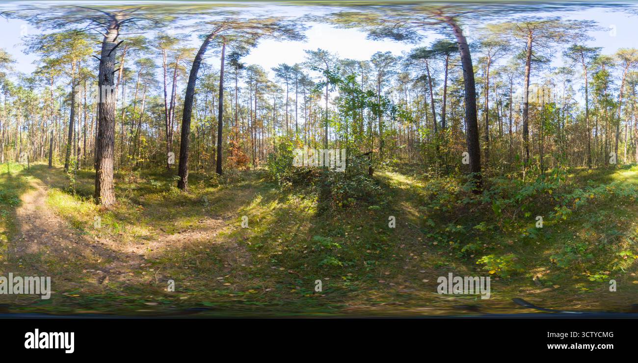 HDRI seamless spherical 360-degree panorama of forest. 360 panorama of ...