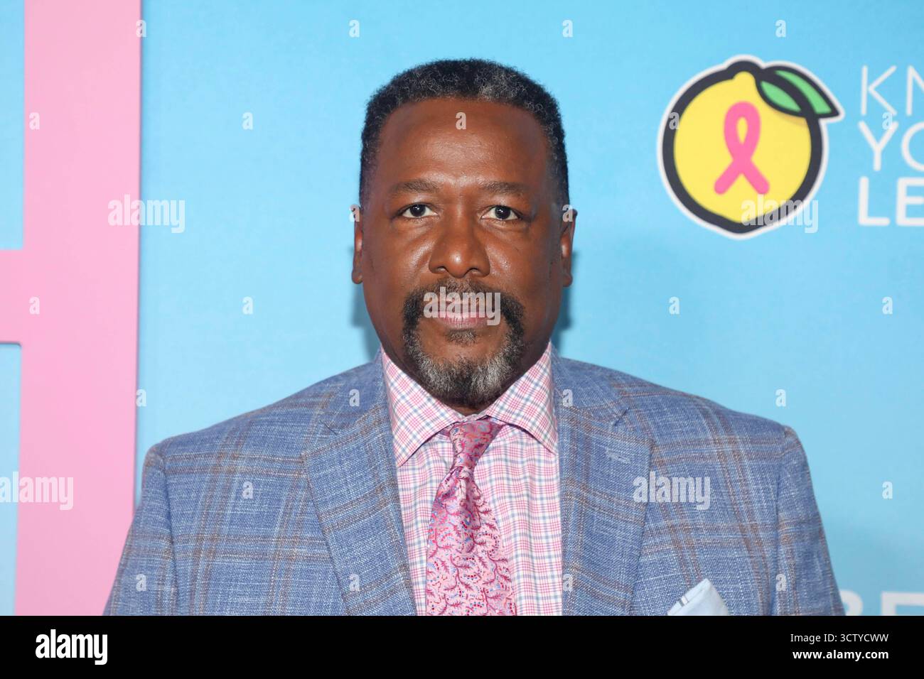 Actor Wendell Pierce attends the "Elsbeth" Season 3 premiere at AMC ...