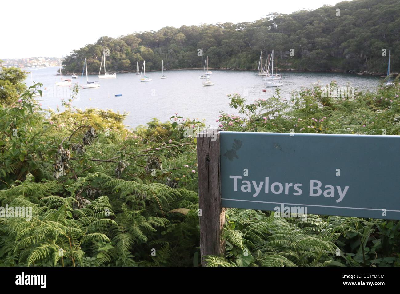 Sydney, NSW, Australia. 8th October 2025. Taylors Bay, Mosman. Credit ...