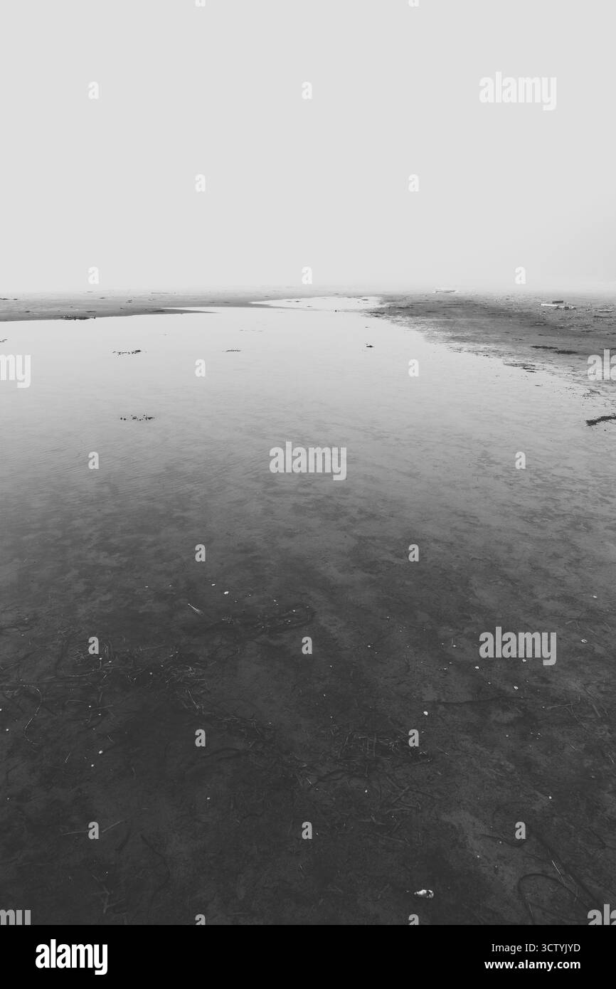Calm shallow water reflects Black and White Stock Photos & Images - Alamy