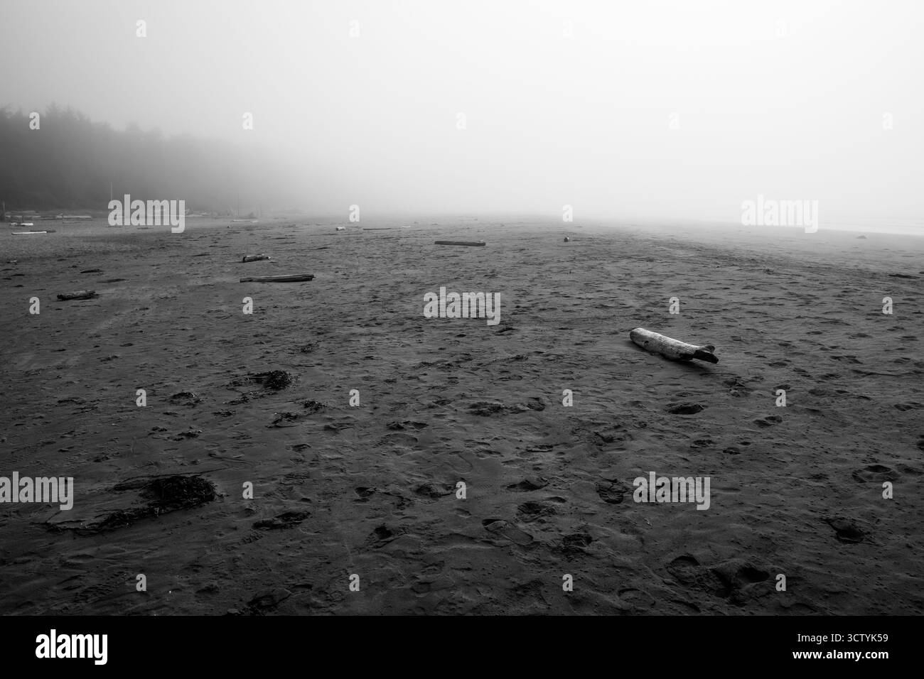 Tranquil atmosphere Black and White Stock Photos & Images - Alamy