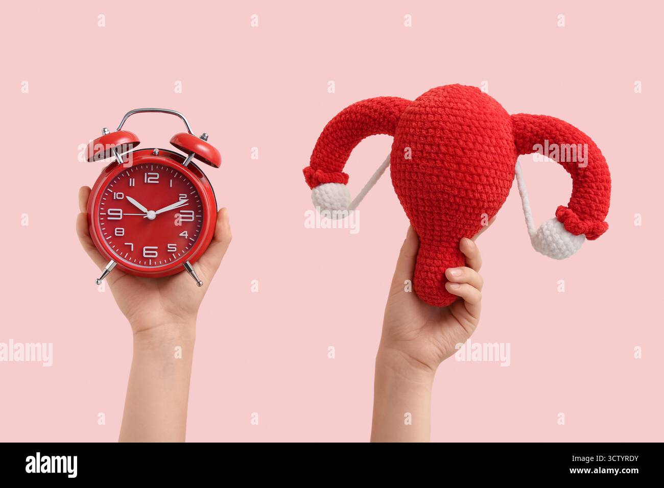Female hands with alarm clock and knitted uterus model on pink ...
