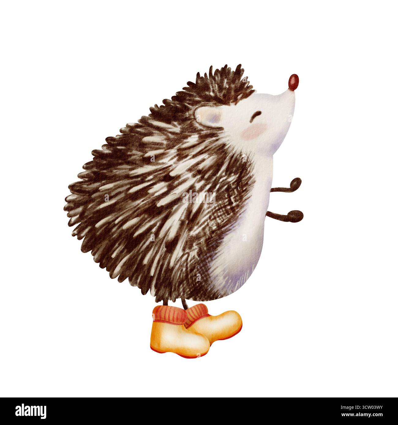 Fluffy hedgehog standing on its hind legs in orange rubber boots ...