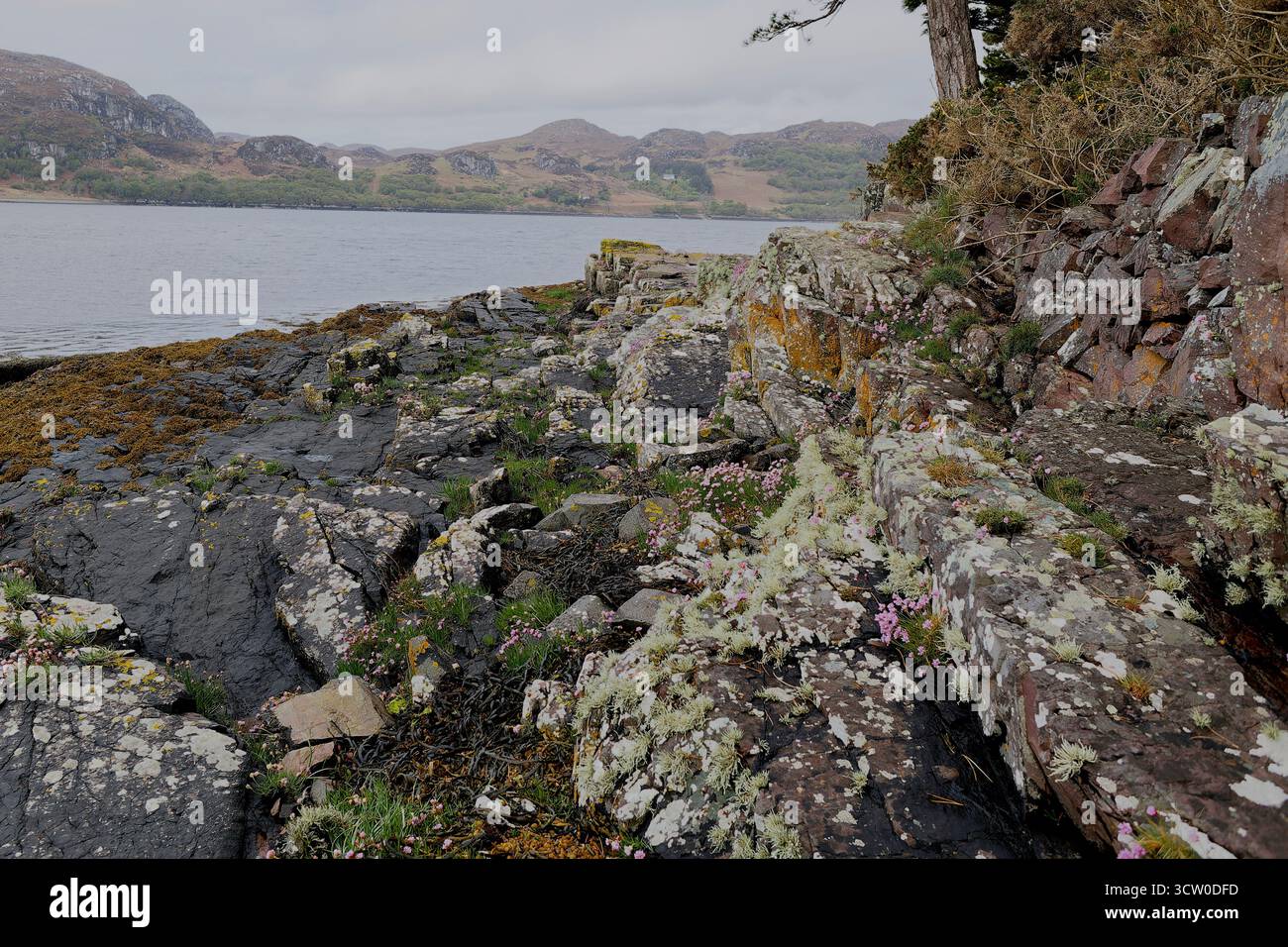 Inverewe Garden. National Trust Scotland Stock Photo - Alamy