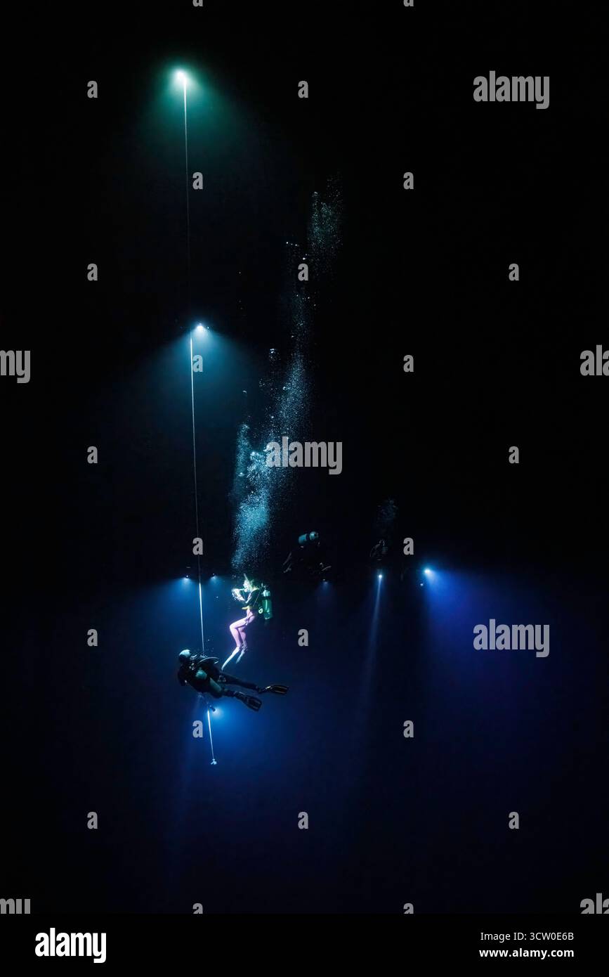 Night dive yap hi-res stock photography and images - Alamy