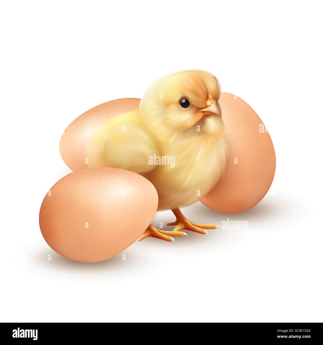 Egg on whitebackground Stock Vector Images - Alamy