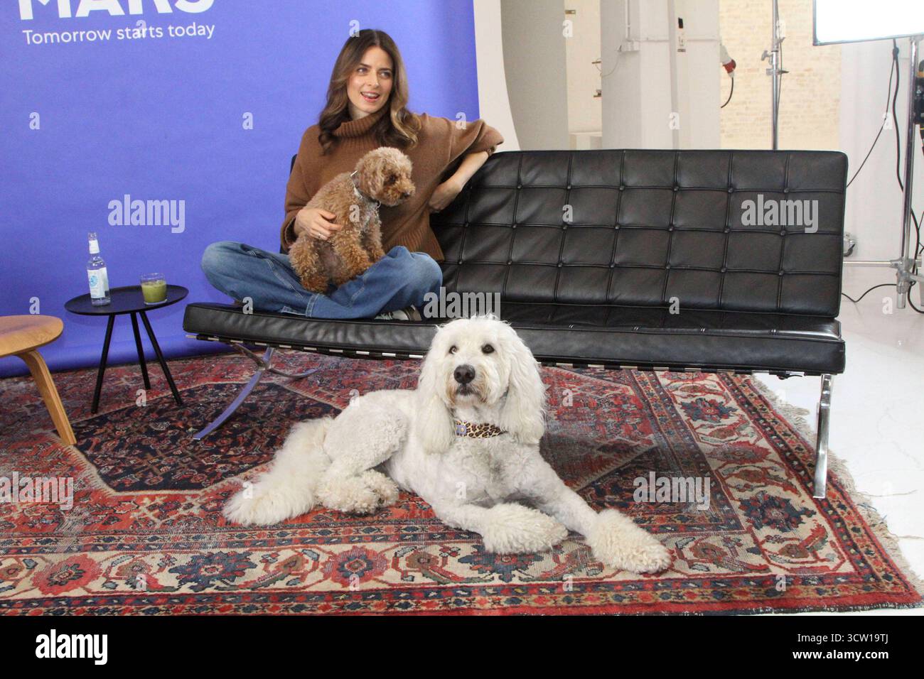 abb Eva Padberg deutsches Model mit ihrem Hund Fonsi aus der ...