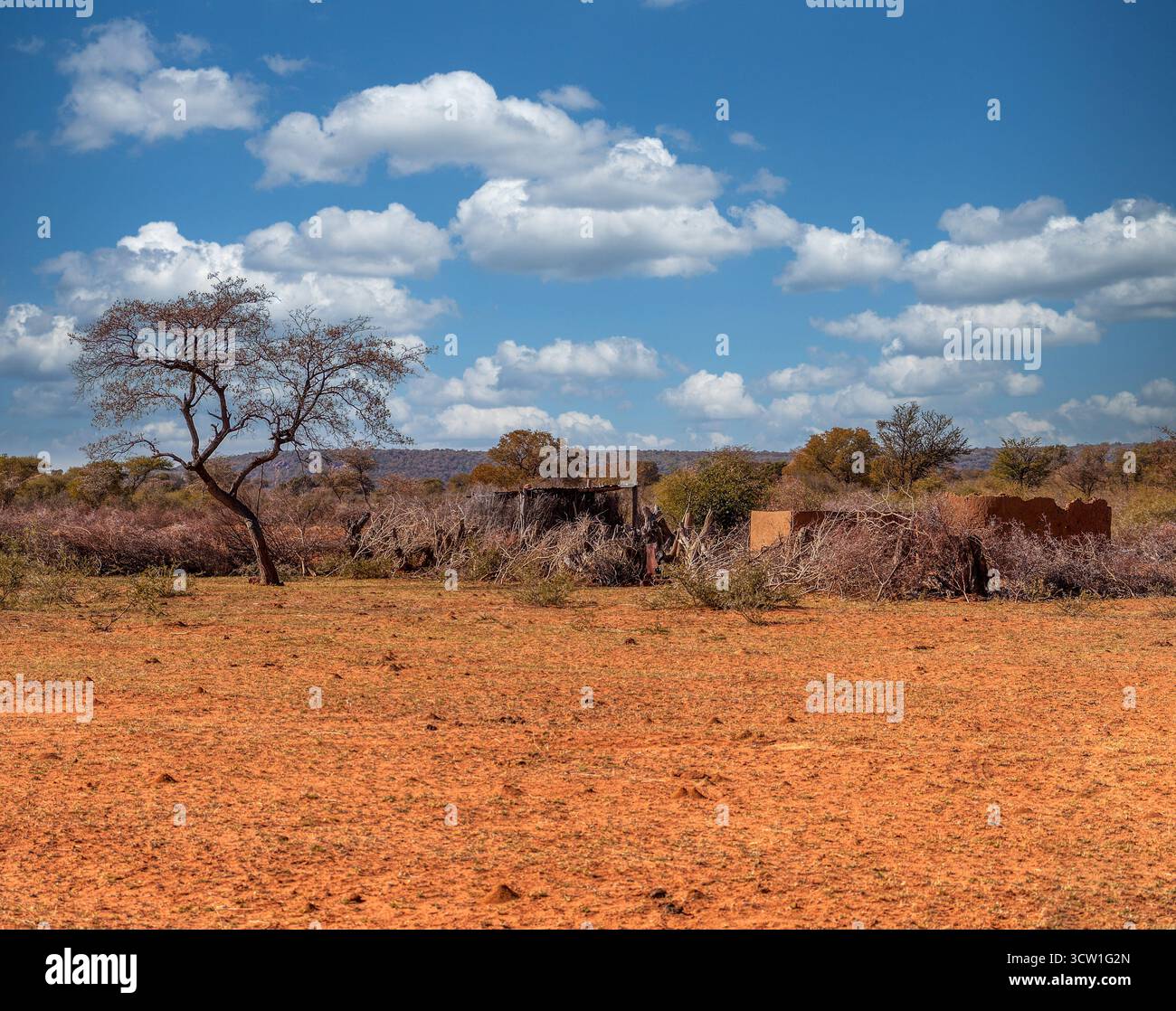 ruined african house with thatched roof traditional , cattle post ...