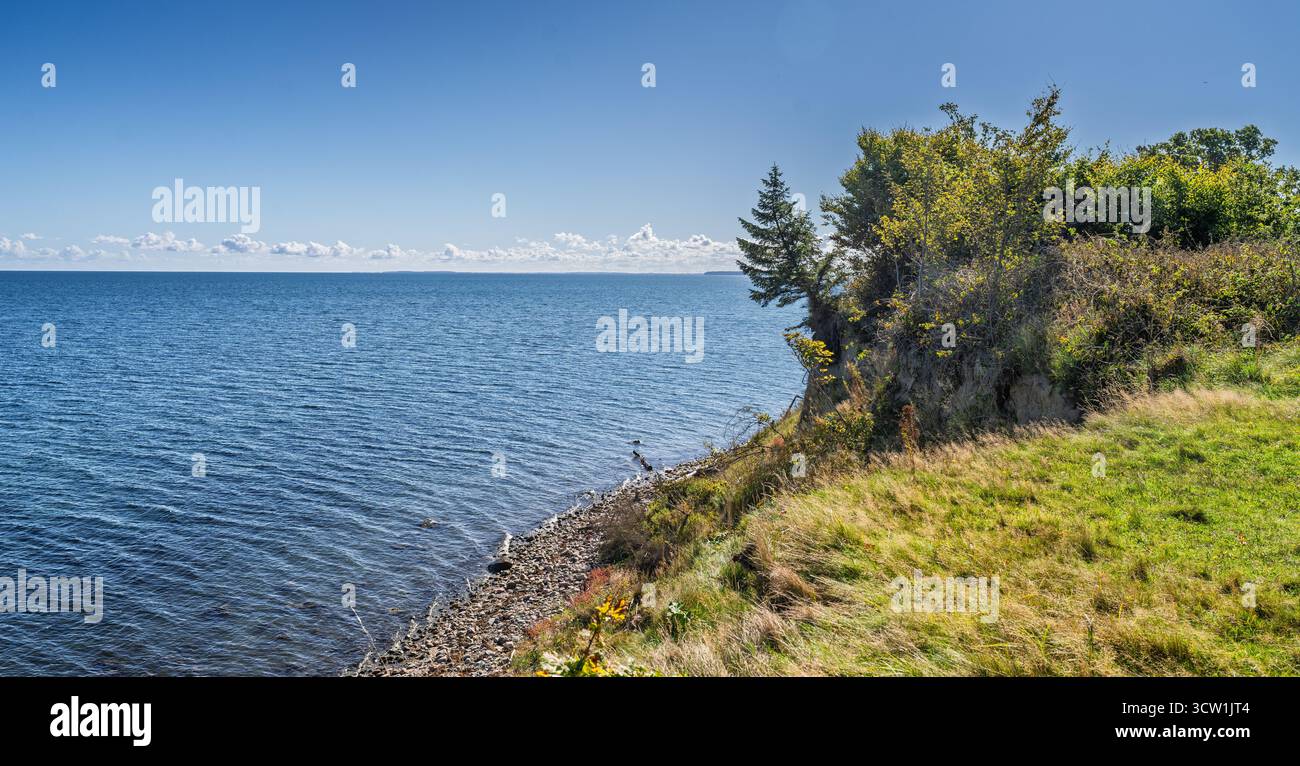 Tree lined cliffside hi-res stock photography and images - Alamy
