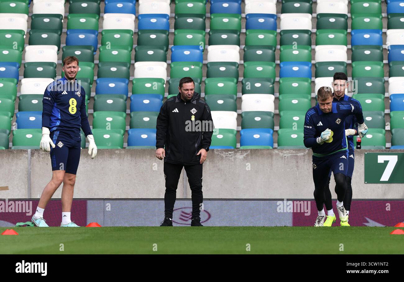 Northern Ireland goalkeepers Conor Hazard, Bailey Peacock-Farrell and ...