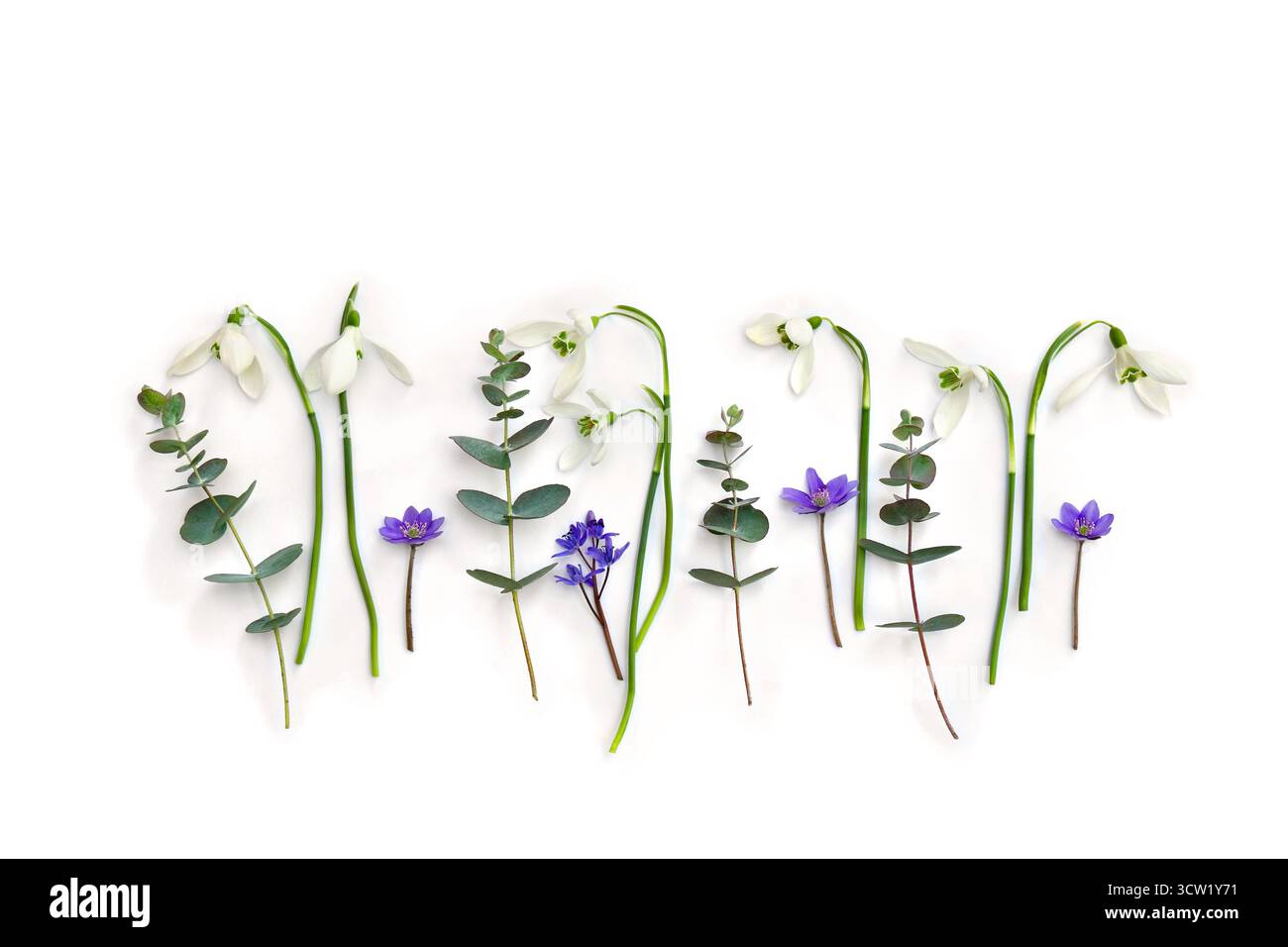 Minimalist flowers leaves blossom Cut Out Stock Images & Pictures - Alamy