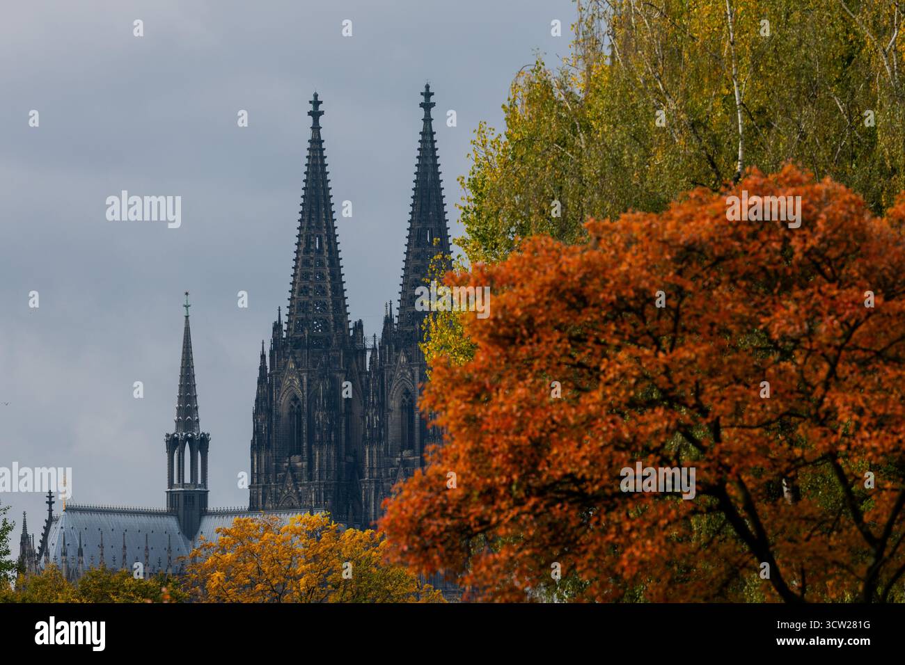 dpatop - 09 October 2025, North Rhine-Westphalia, Cologne: Autumn ...