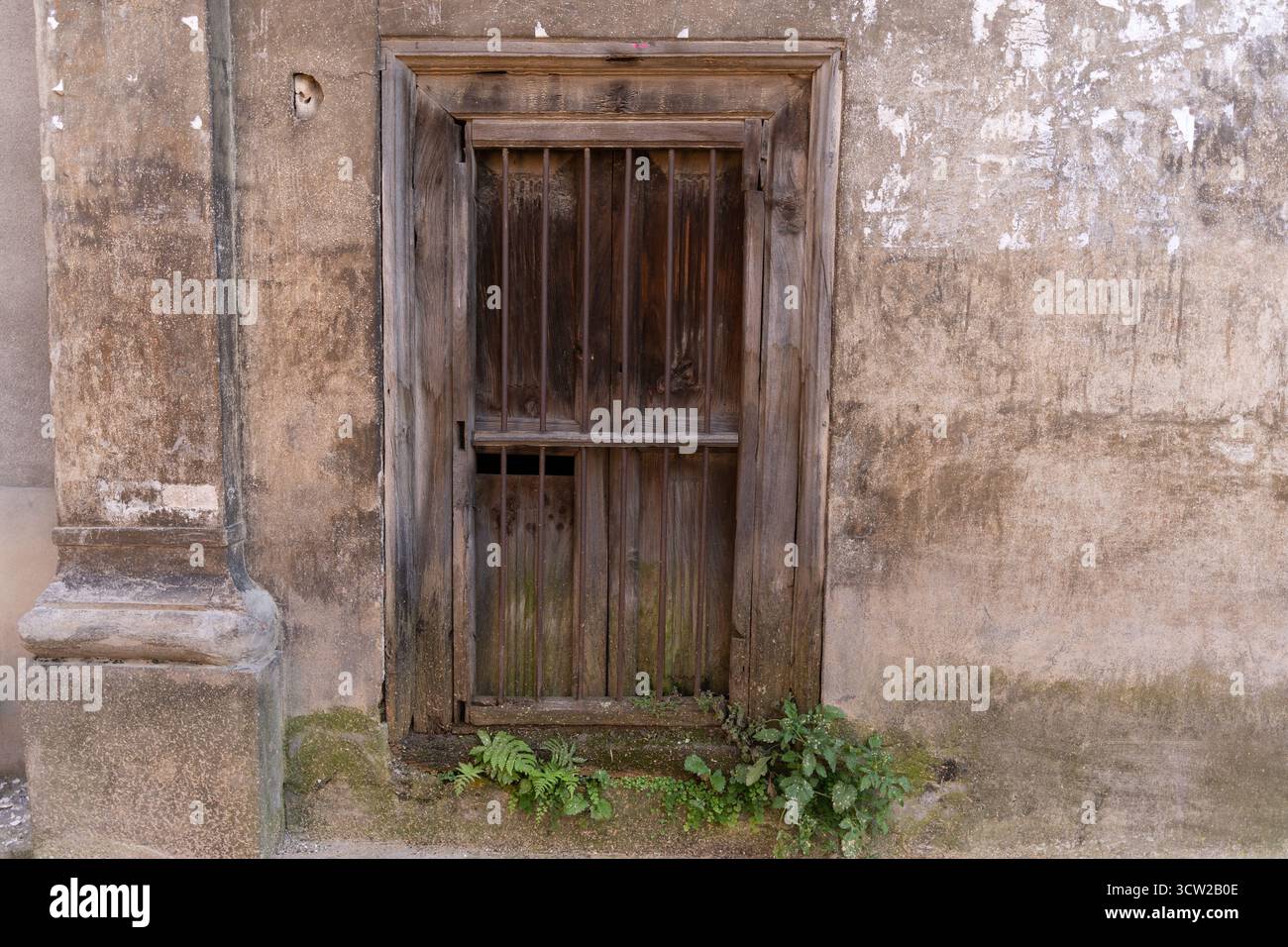 Weathered wooden door in a stone wall with peeling paint, moss, and ...