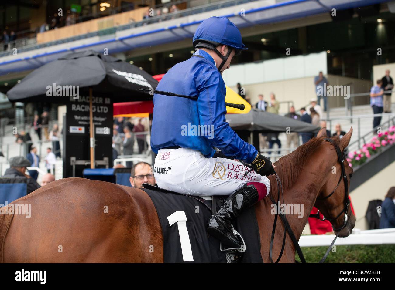 Godolphin colours hi-res stock photography and images - Alamy