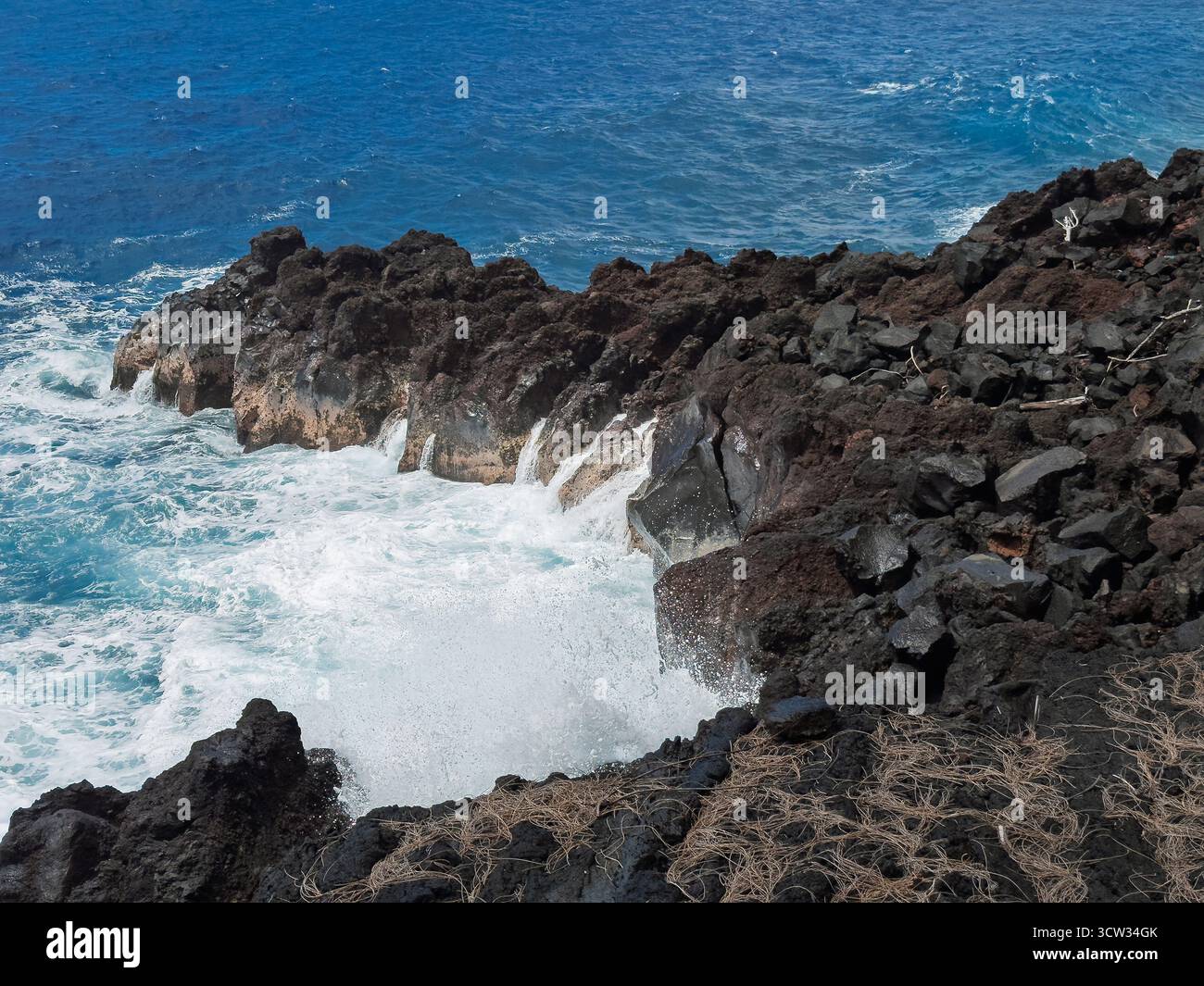 Pahoa, Hawaii Island, Hawaii, USA - July 15, 2025: MacKenzie State ...