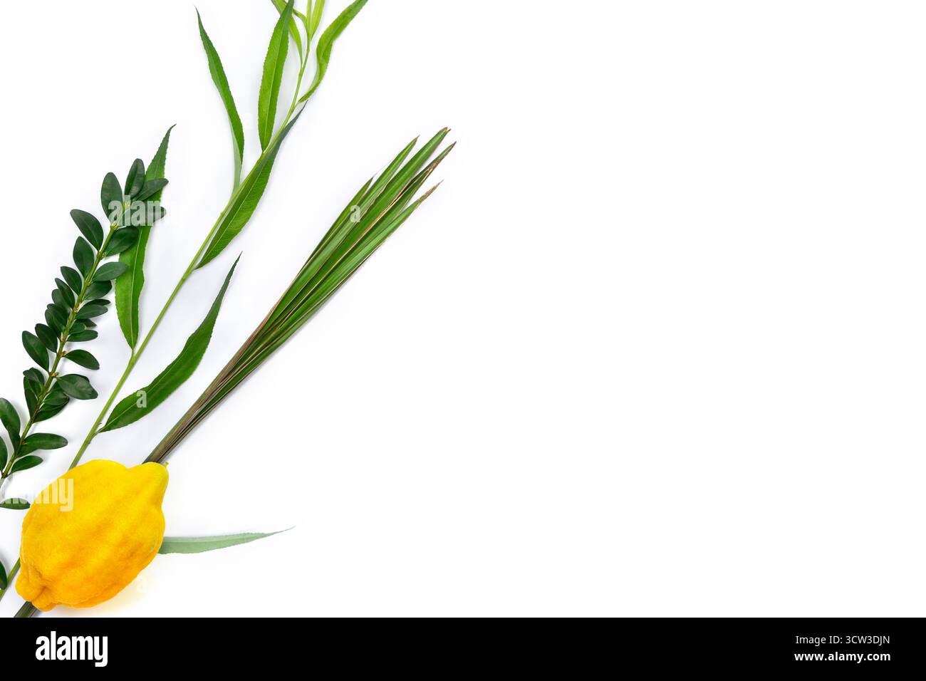 Jewish heritage Cut Out Stock Images & Pictures - Alamy