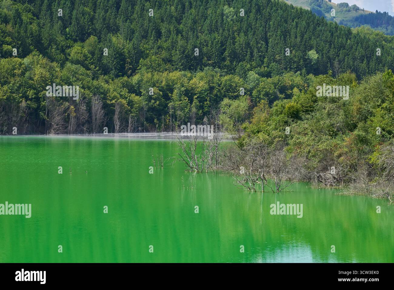 The toxic lake poisoned with unreal colors in the village of Geamana ...