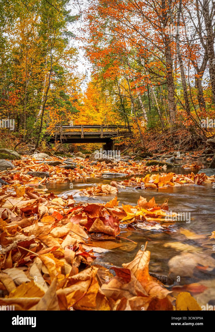 New brunswick fall hi-res stock photography and images - Alamy