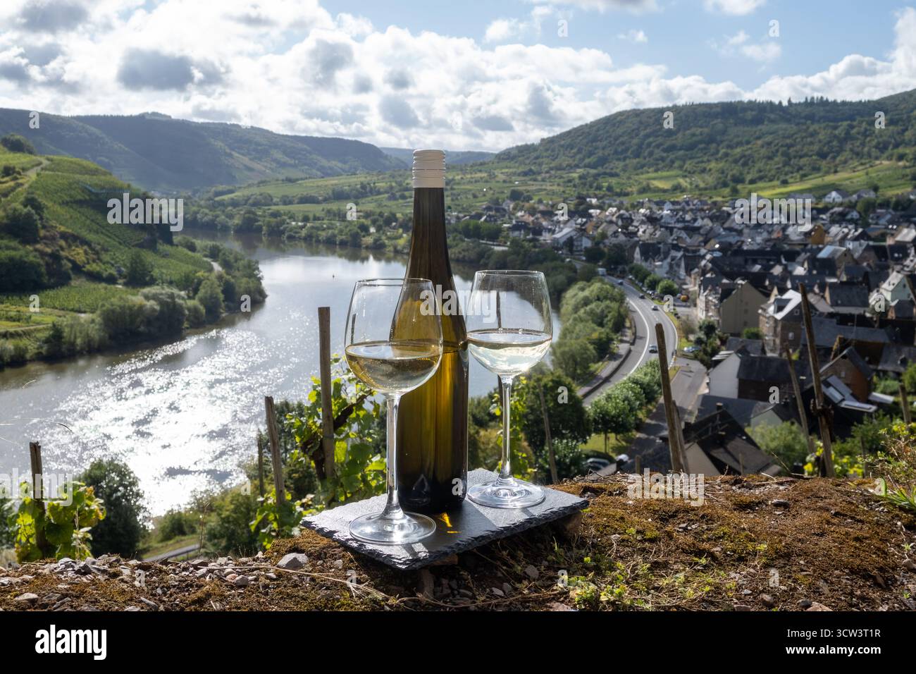 German quality white wine riesling, Mosel wine region, white grapes ...